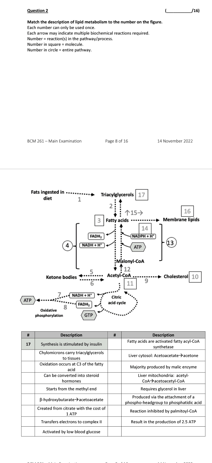 Please help with all the questions in picture !Match | Chegg.com