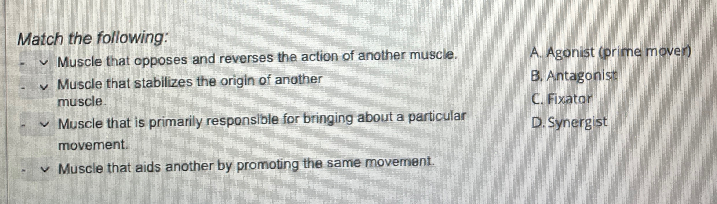 Solved Match the following:Muscle that opposes and reverses | Chegg.com