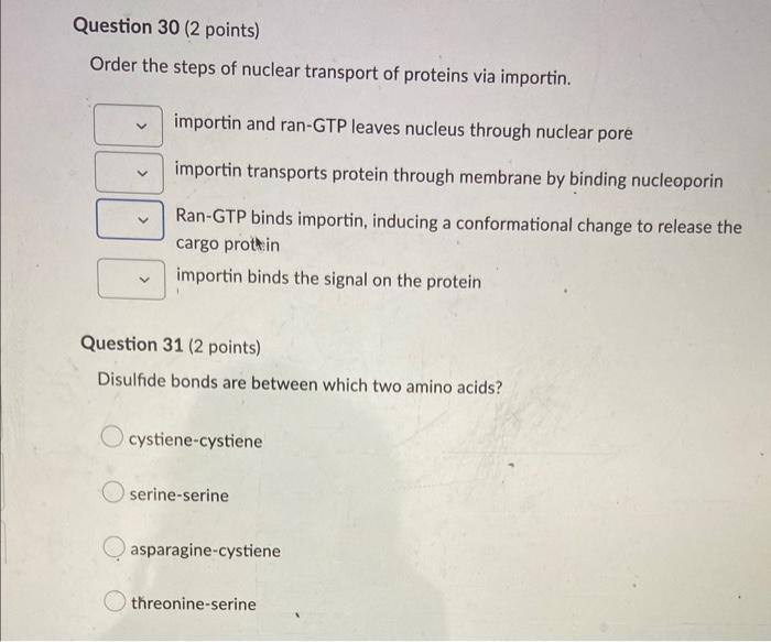 Solved Order the steps of protein synthesis into the RER | Chegg.com