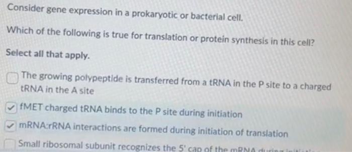 Solved Consider gene expression in a prokaryotic or | Chegg.com