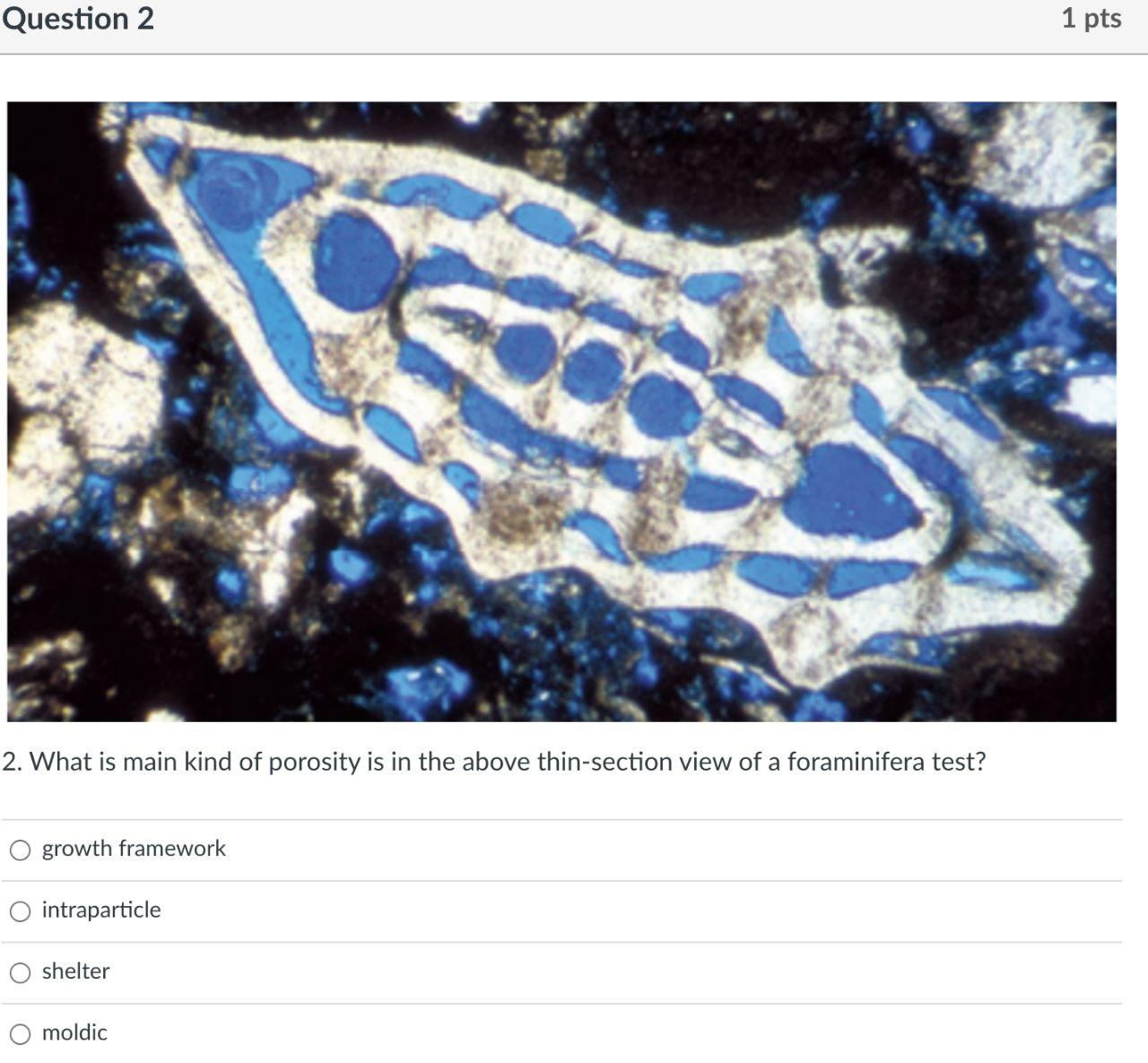 Solved Question 2 1 pts 2. What is main kind of porosity is | Chegg.com