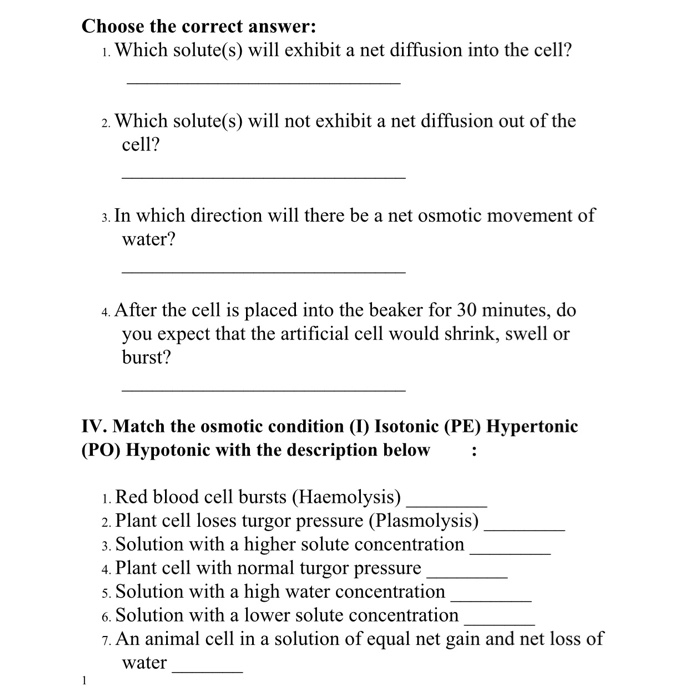 Solved SECOND SEMESTER 0490-101 PRACTICAL 19/20 Student | Chegg.com