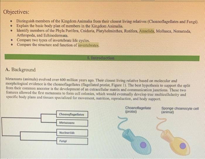 Solved How To Formulate A Lab If Then Hypothesis Based