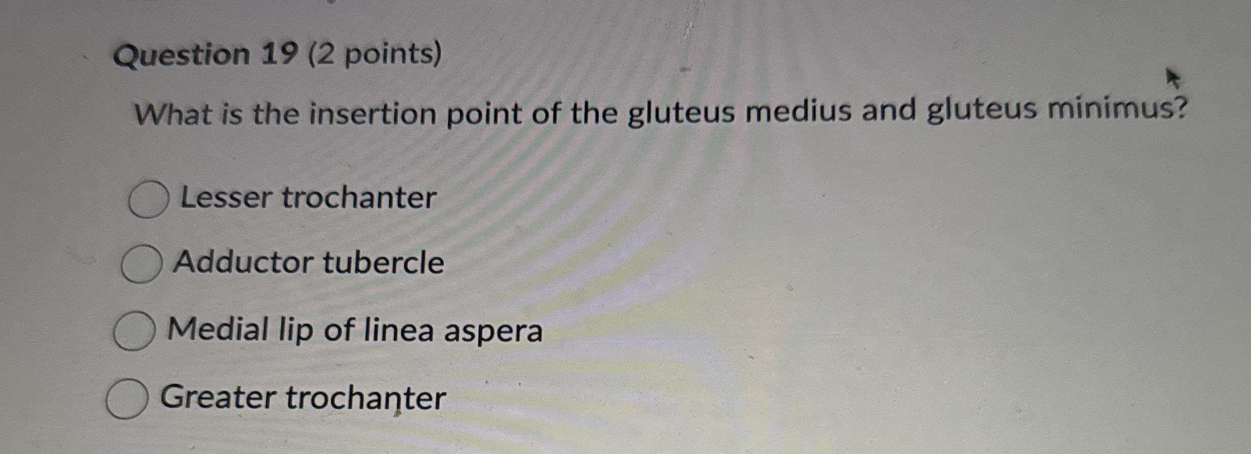 Solved Question 19 (2 ﻿points)What is the insertion point of | Chegg.com