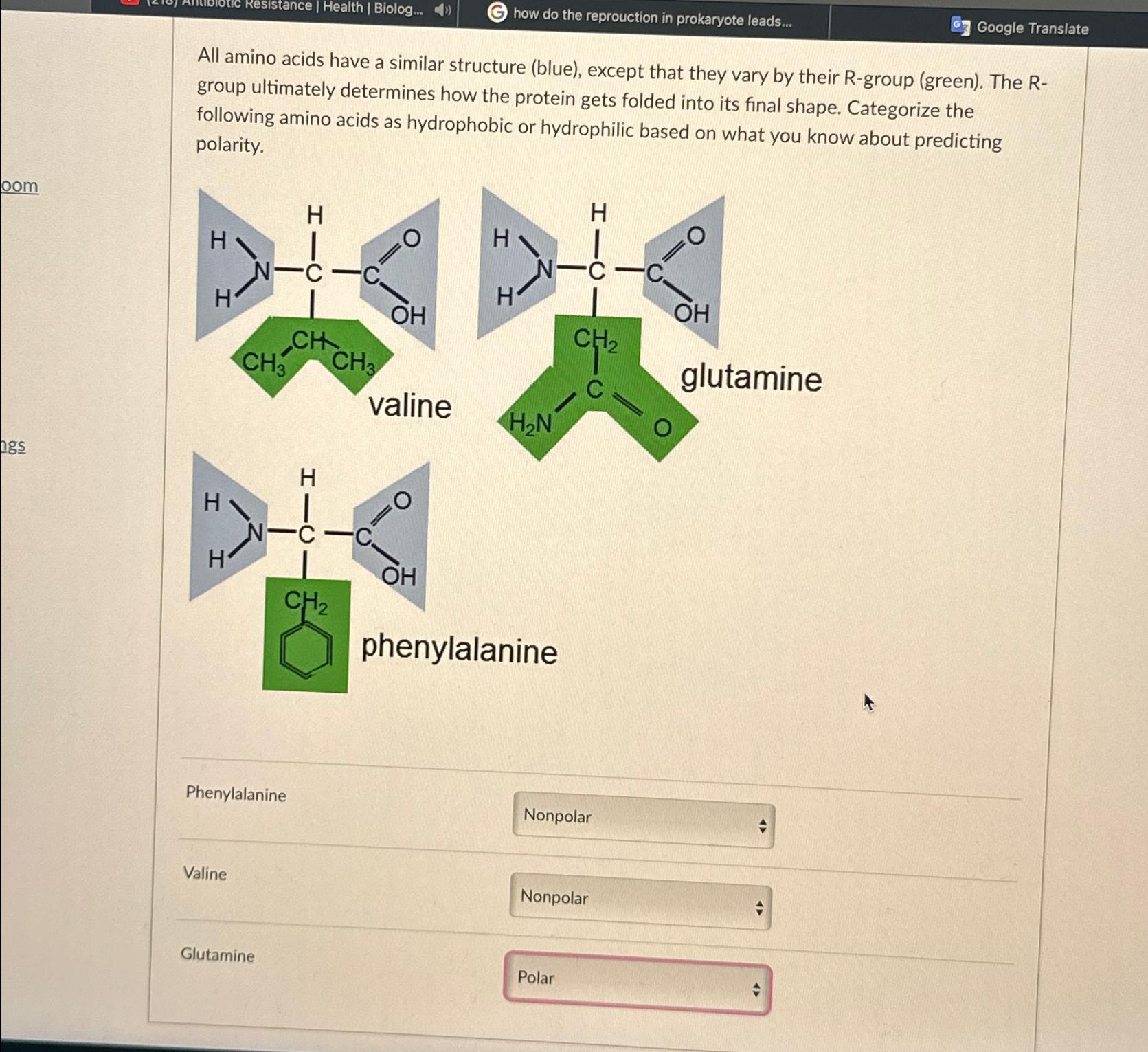 Solved All amino acids have a similar structure (blue), | Chegg.com