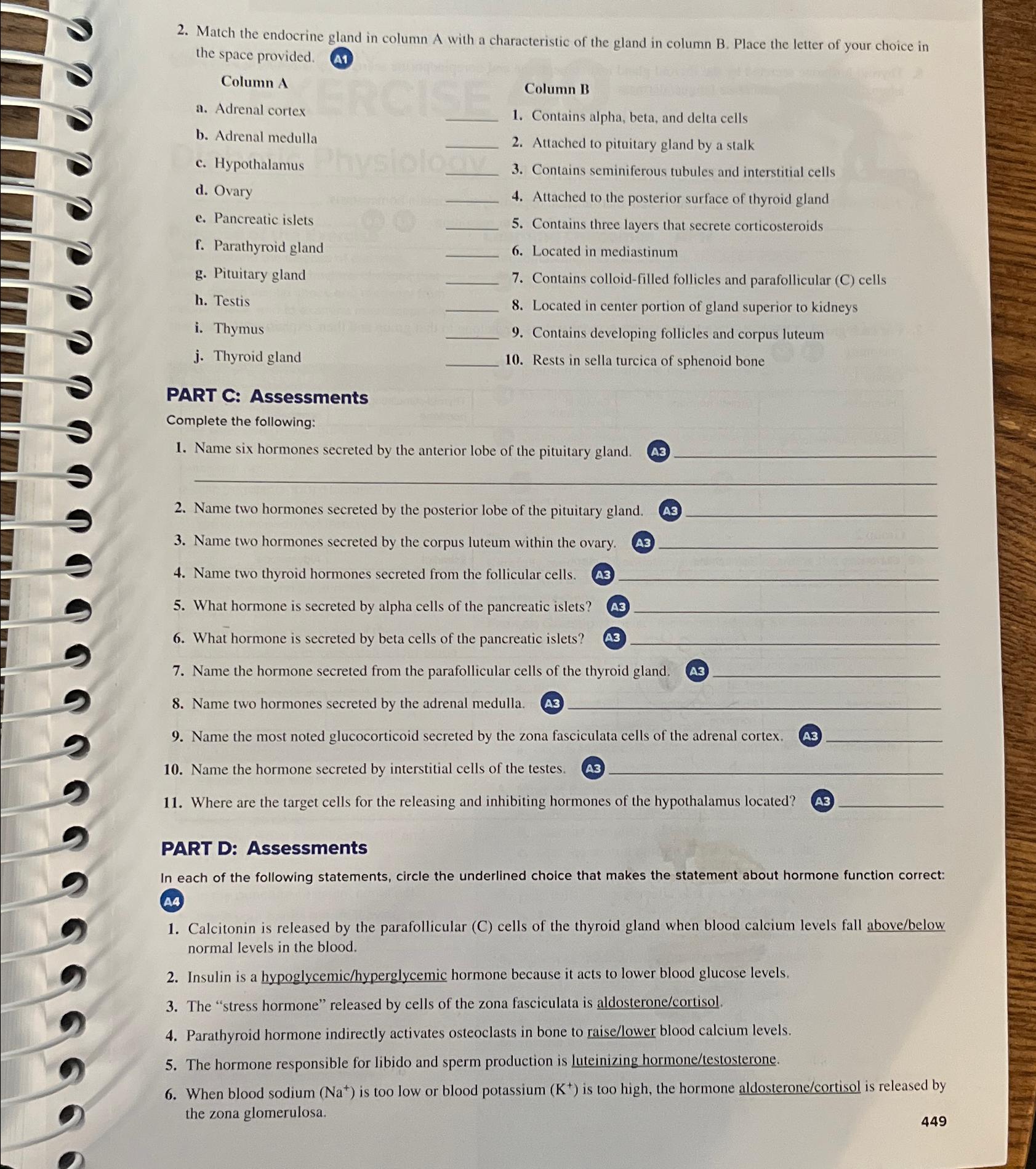 Solved Match the endocrine gland in column A with a | Chegg.com