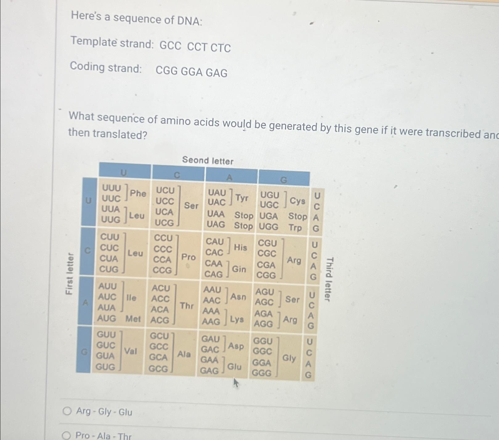 Solved Here's a sequence of DNA:Template strand: GCC CCT | Chegg.com