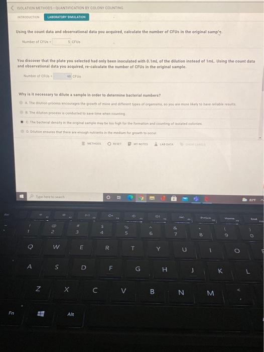 Solved ISOLATION METHODS.QUANTIFICATION BY COLONY COUNTING | Chegg.com