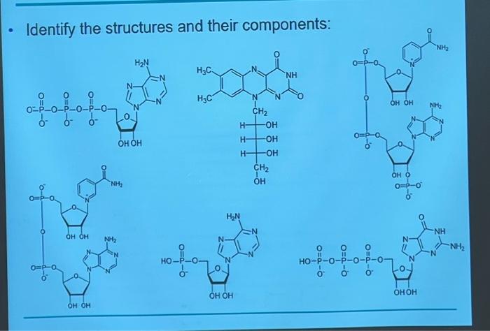 Solved Identify the structures and their components: | Chegg.com