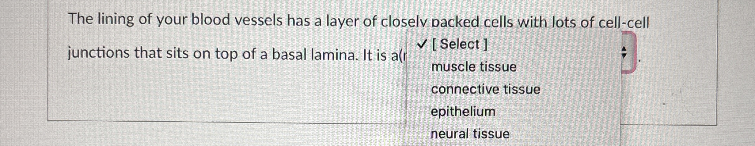 Solved The lining of your blood vessels has a layer of | Chegg.com
