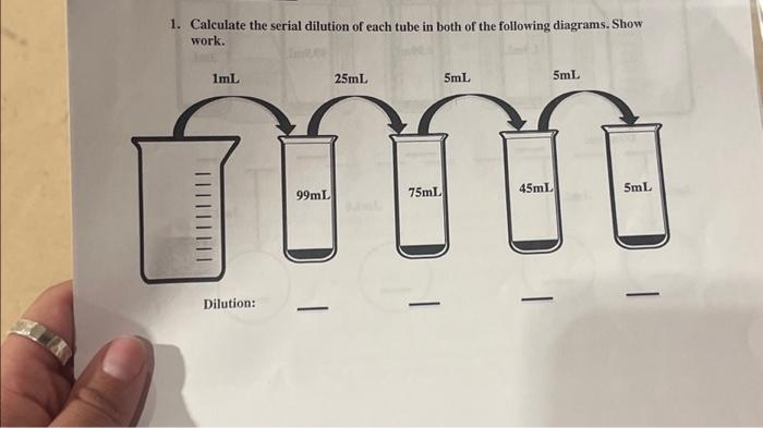 1. Calculate the serial dilution of each tube in both | Chegg.com
