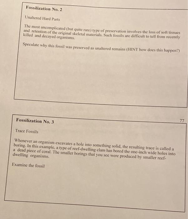 Solved Fossilization No. 2 Unaltered Hard Parts The most | Chegg.com