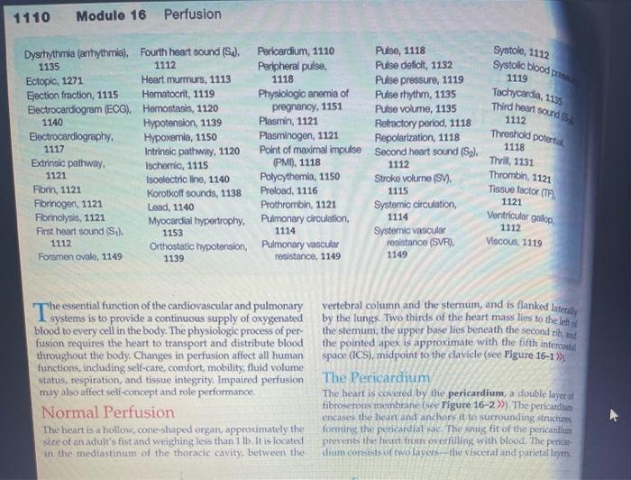 Solved Reading Comprehension/Critical Thinking Assignment | Chegg.com