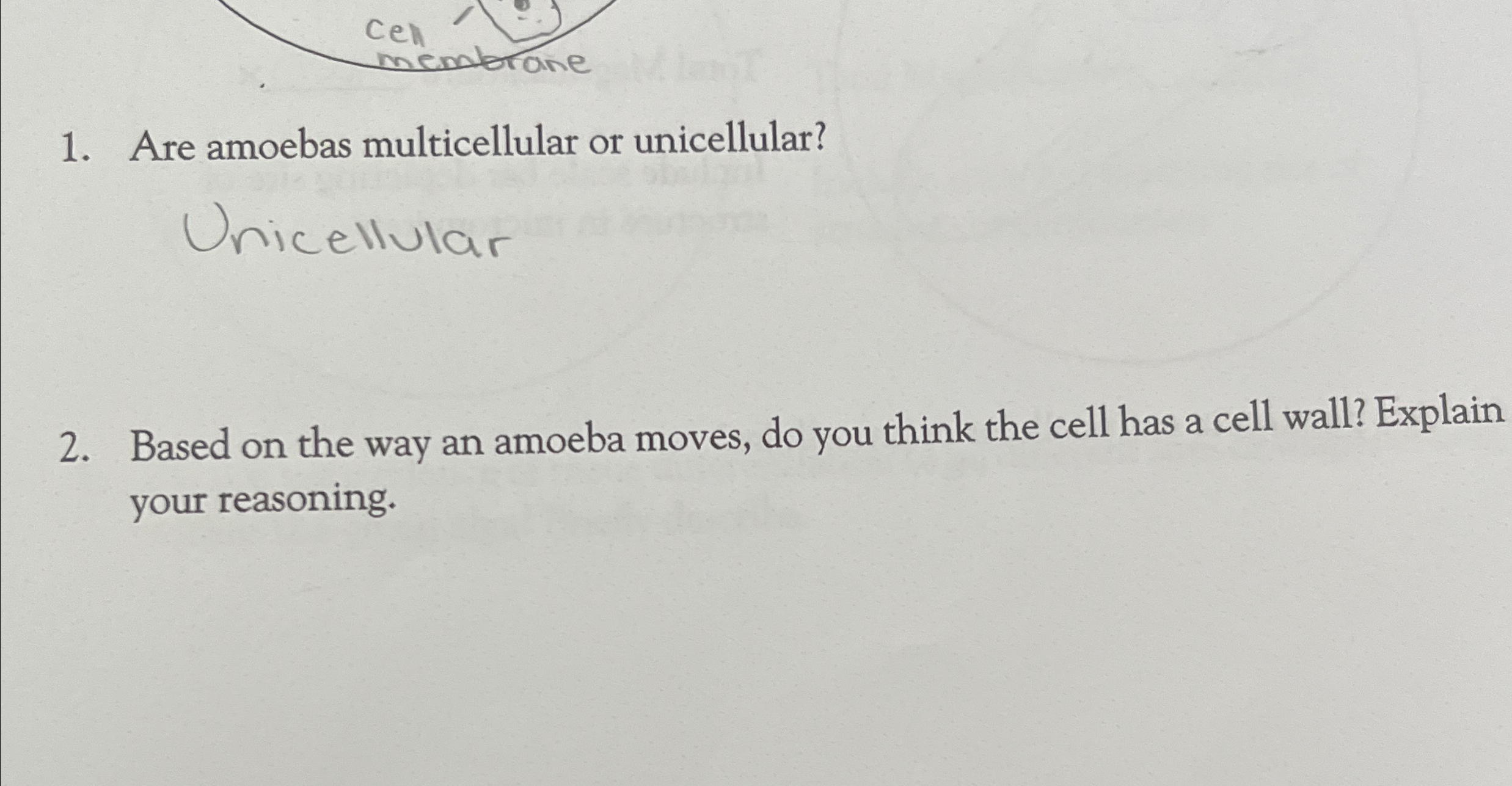 Solved Are amoebas multicellular or | Chegg.com