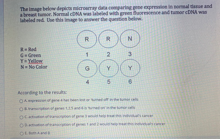 Solved The Image Below Depicts Microarray Data Comparing