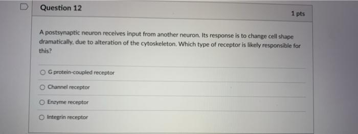 Solved Question 12 1 pts A postsynaptic neuron receives | Chegg.com
