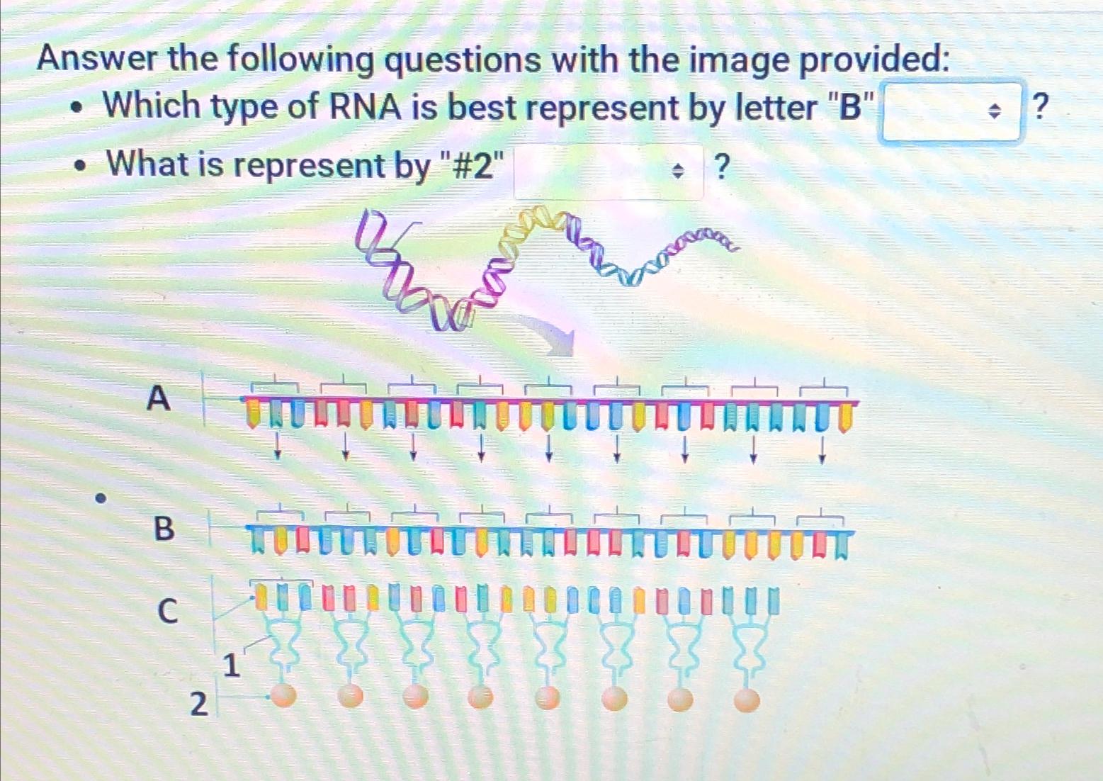 Solved Answer the following questions with the image | Chegg.com