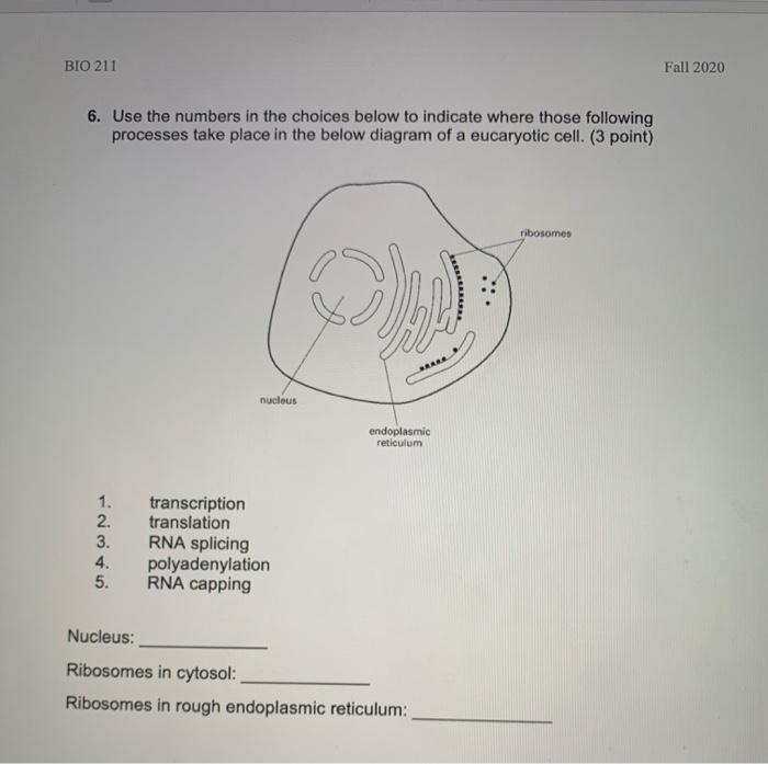 Solved 5. Label the following structures in the Figure | Chegg.com