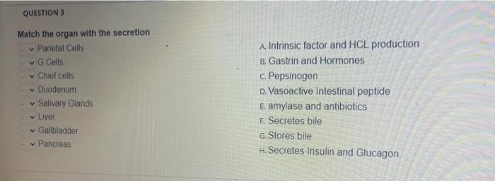 Solved Match the organ with the secretion Parietal Cells A. | Chegg.com