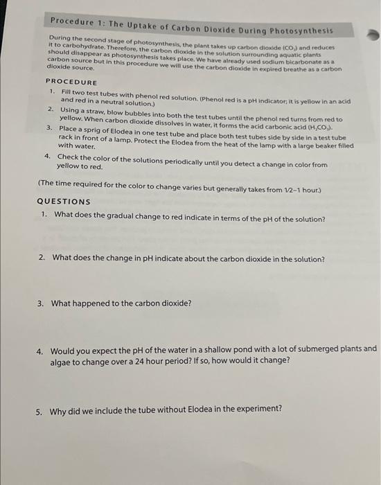 Procedure 1: The Uptake of Carbon Dioxide During | Chegg.com