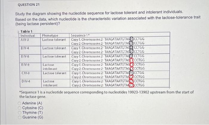 Solved Study the diagram showing the nucleotide sequence for | Chegg.com