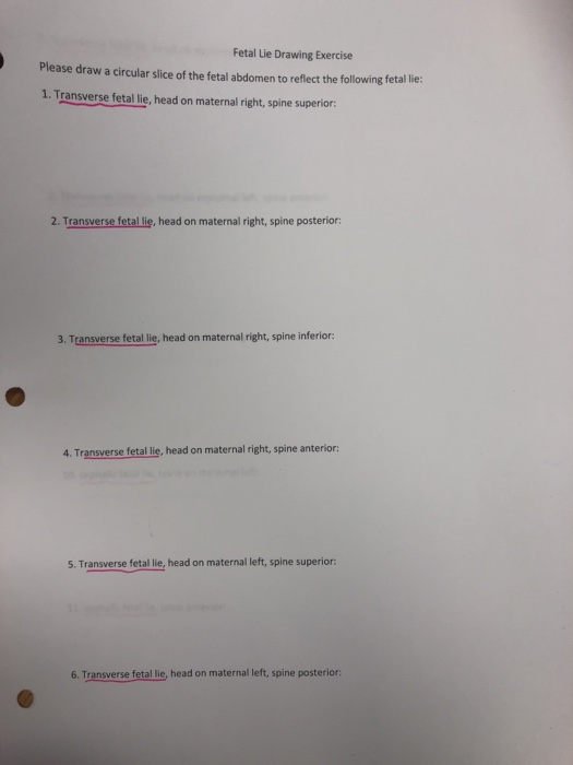 Solved Fetal Lie Drawing Exercise Please draw a circular | Chegg.com