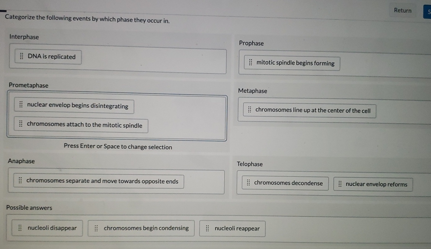 Solved Categorize the following events by which phase they | Chegg.com