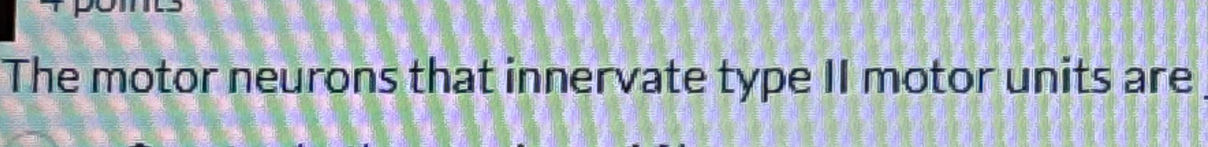 Solved The motor neurons that innervate type II motor units | Chegg.com