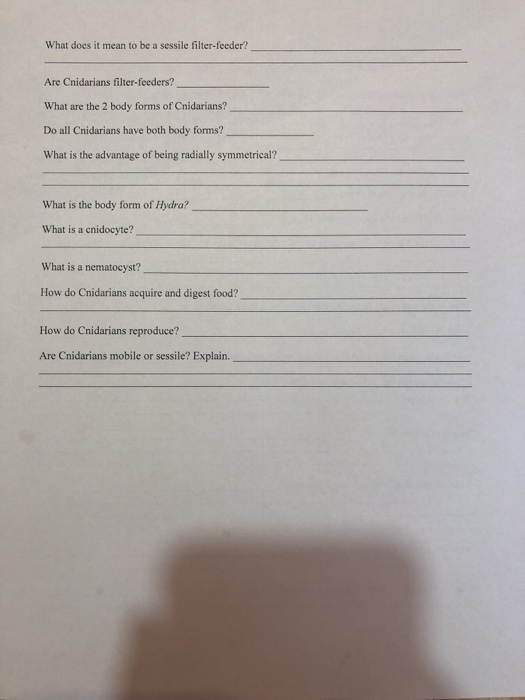 Solved Name: Bio II Lab - Invertebrates I Worksheet What are | Chegg.com