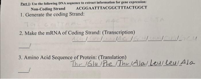[Solved]: Part 1: Use the following DNA sequence to extract