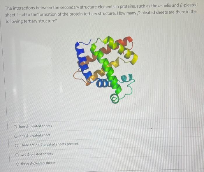 Solved Identify the number of peptide bonds in the following | Chegg.com