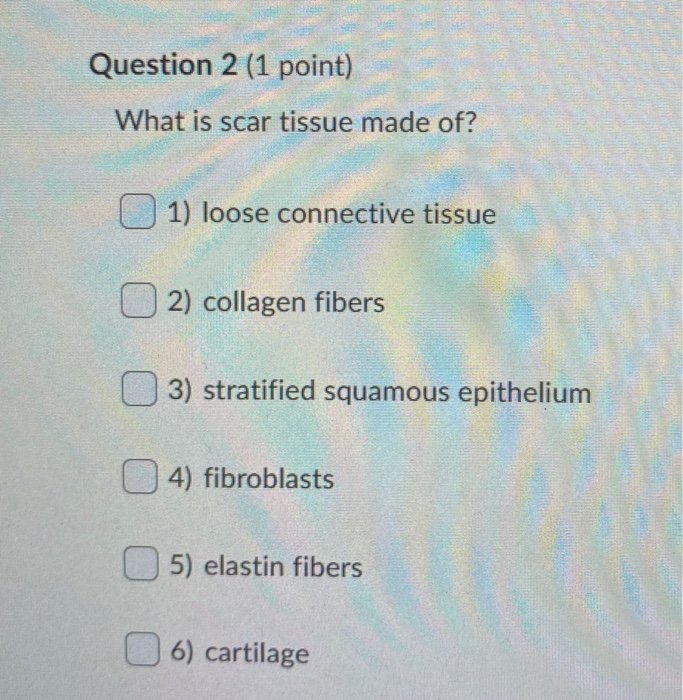 Solved Question 2 (1 point) What is scar tissue made of? 1) | Chegg.com