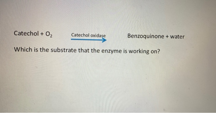 Solved Catechol + O2 Catechol oxidase Benzoquinone + water | Chegg.com