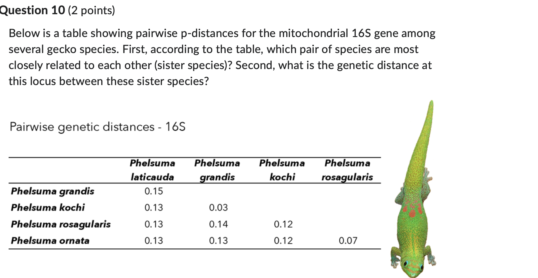 Solved Question 10 (2 ﻿points)Below is a table showing | Chegg.com