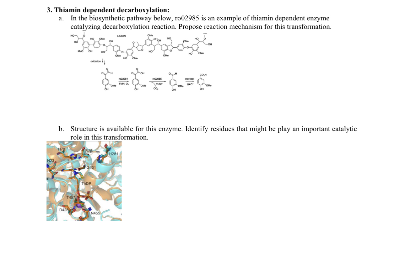 Solved Thiamin dependent decarboxylation:a. ﻿In the | Chegg.com