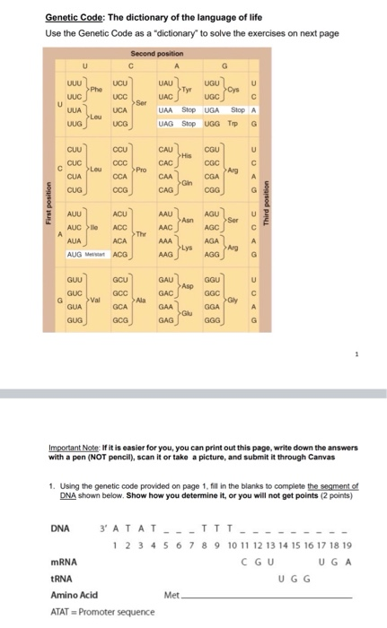 Solved Genetic Code: The dictionary of the language of life | Chegg.com