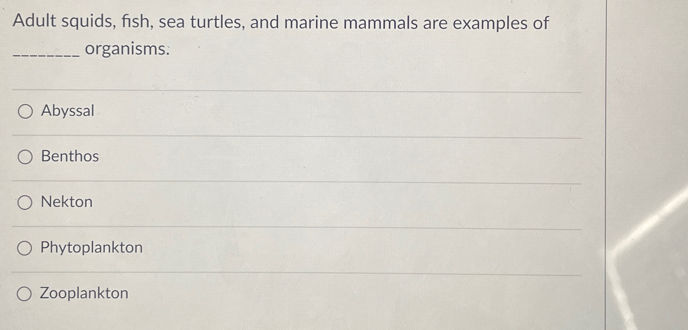 Solved Adult squids, fish, sea turtles, and marine mammals | Chegg.com