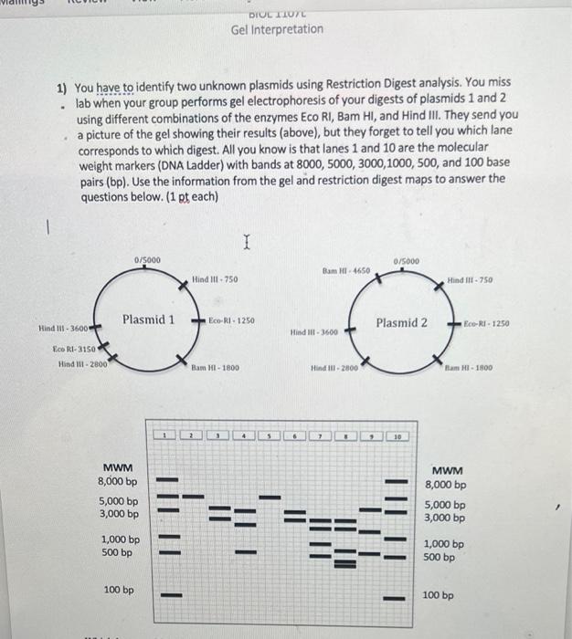 Solved 1) You have to identify two unknown plasmids using | Chegg.com