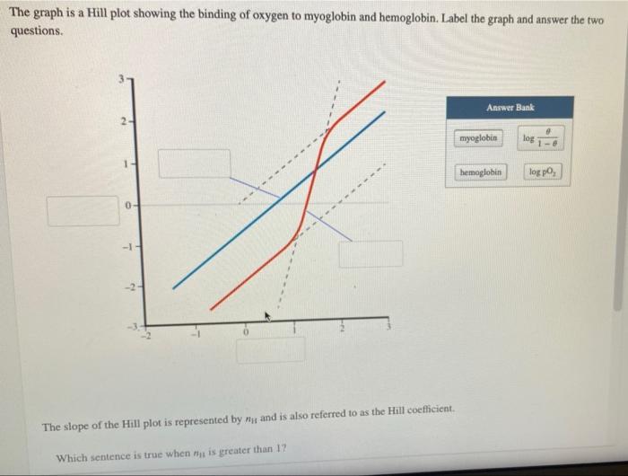 Solved The graph is a Hill plot showing the binding of | Chegg.com
