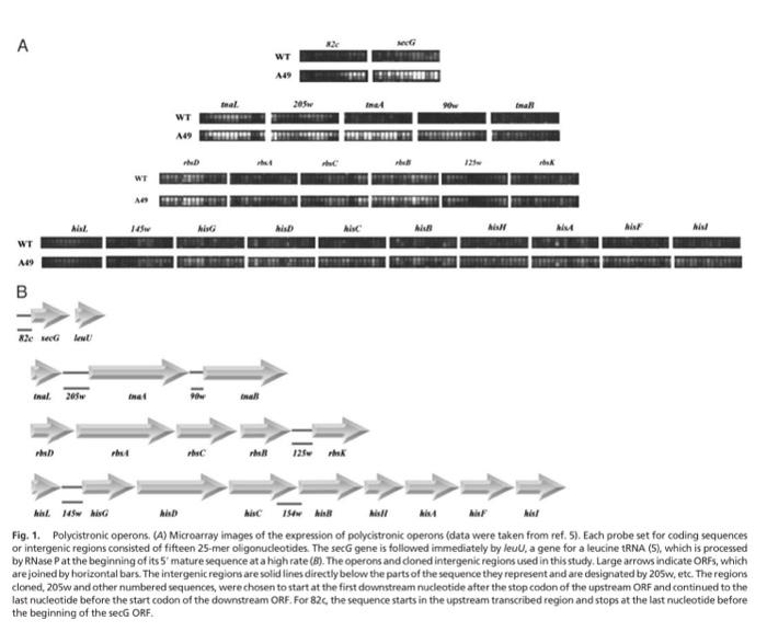 Solved Figure 1 shows Microarrays-based expression data for | Chegg.com