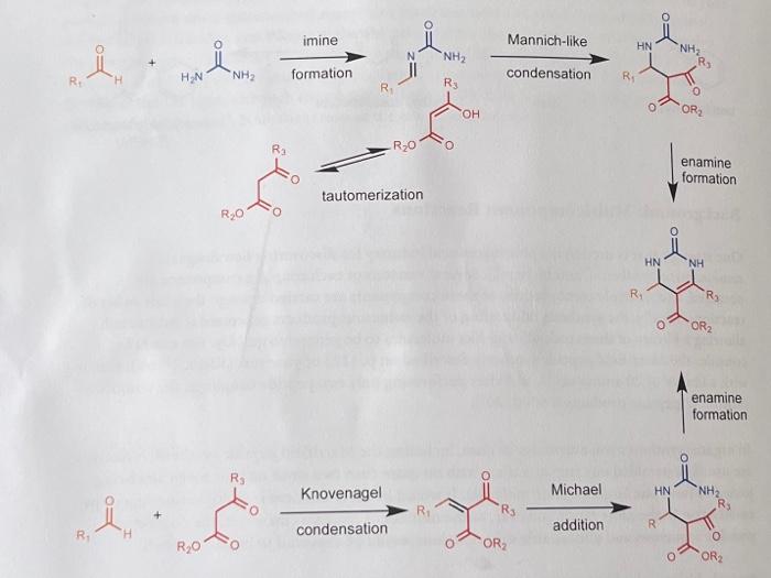 Solved Propose a reasonable reaction mechanism for the | Chegg.com