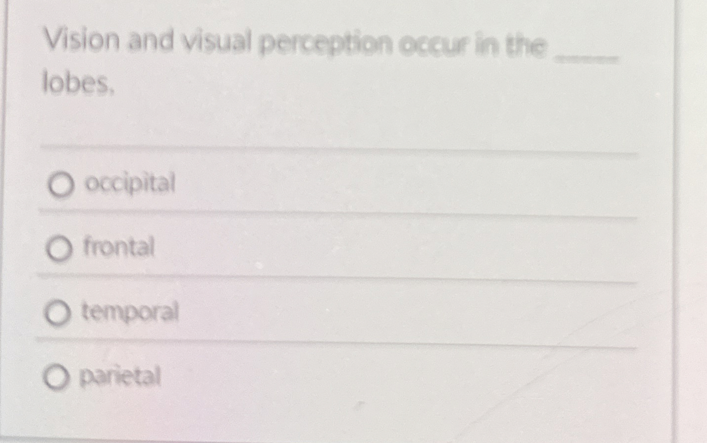 Solved Vision and visual perception occur in | Chegg.com