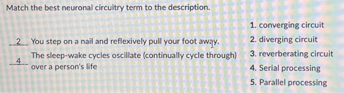 Solved Match the best neuronal circuitry term to the | Chegg.com