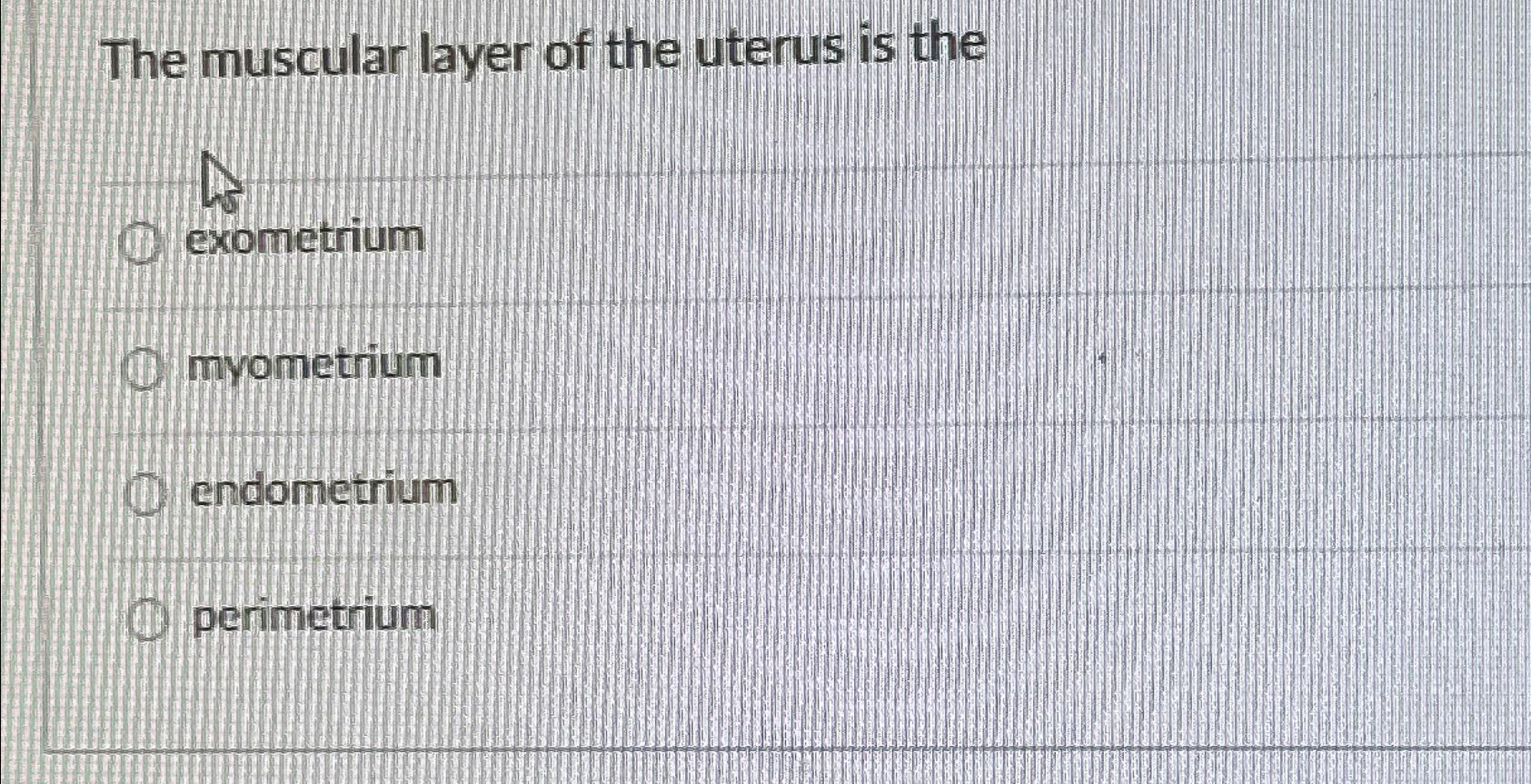Solved The muscular layer of the uterus is | Chegg.com