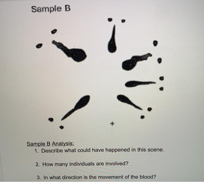 Solved BLOOD ACTIVITY - AREA OF CONVERGENCE Background: The | Chegg.com