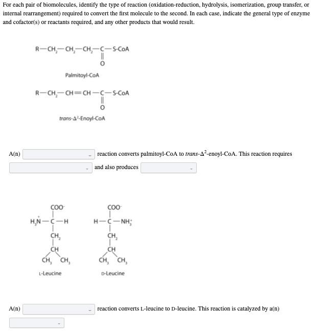 Solved For each pair of biomolecules, identify the type of | Chegg.com