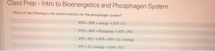 Solved Class Prep - Intro to Bioenergetics and Phosphagen | Chegg.com