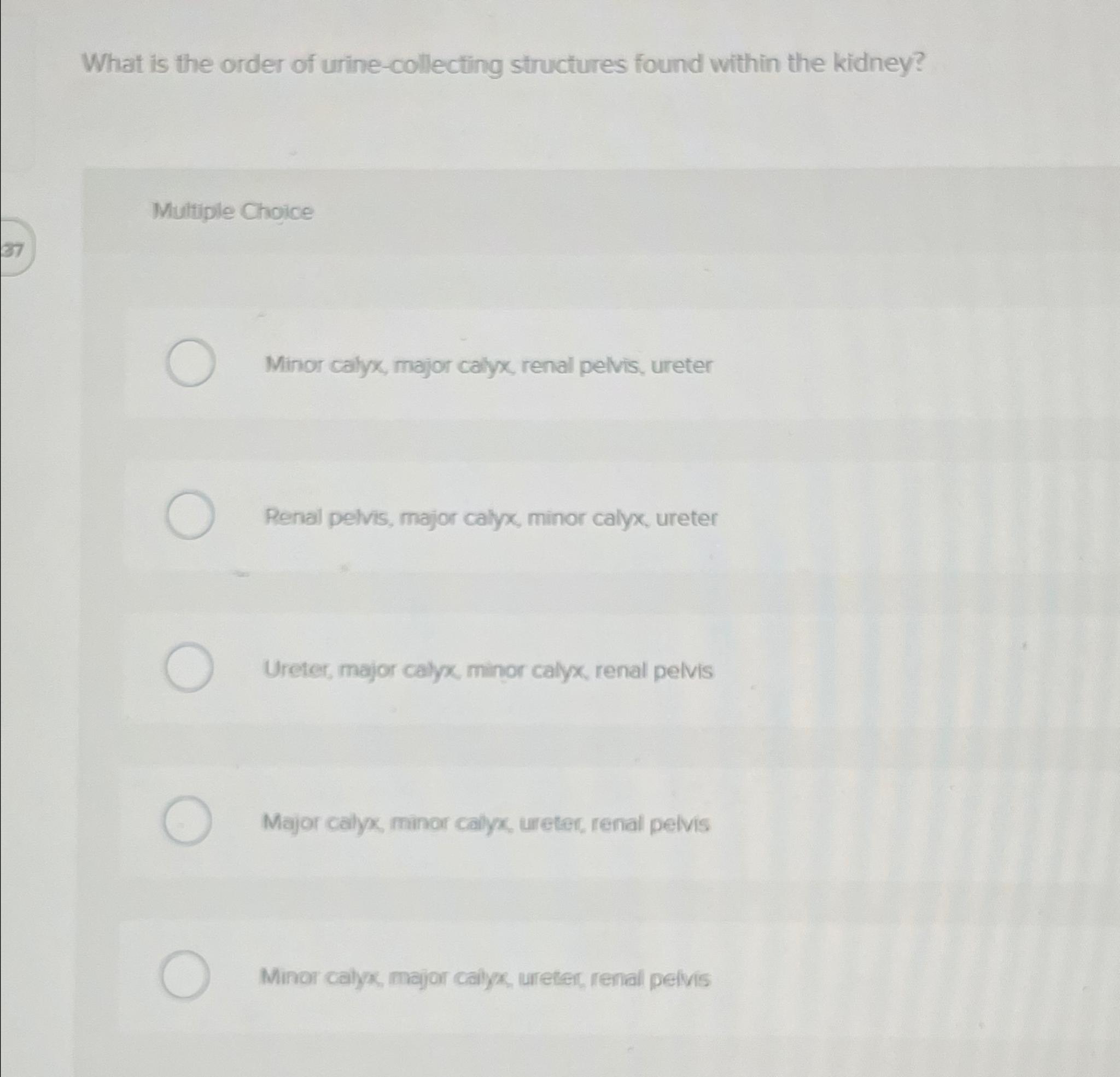 Solved What is the order of urine-collecting structures | Chegg.com