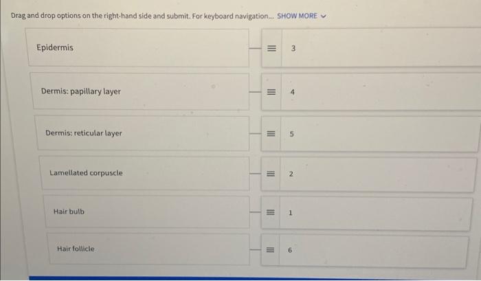 Solved Drag and drop options on the right-hand side and | Chegg.com