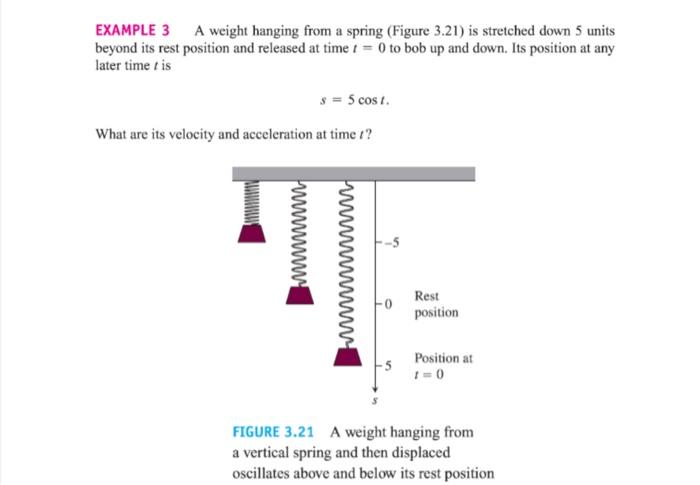 Solved EXAMPLE 3 A weight hanging from a spring (Figure | Chegg.com